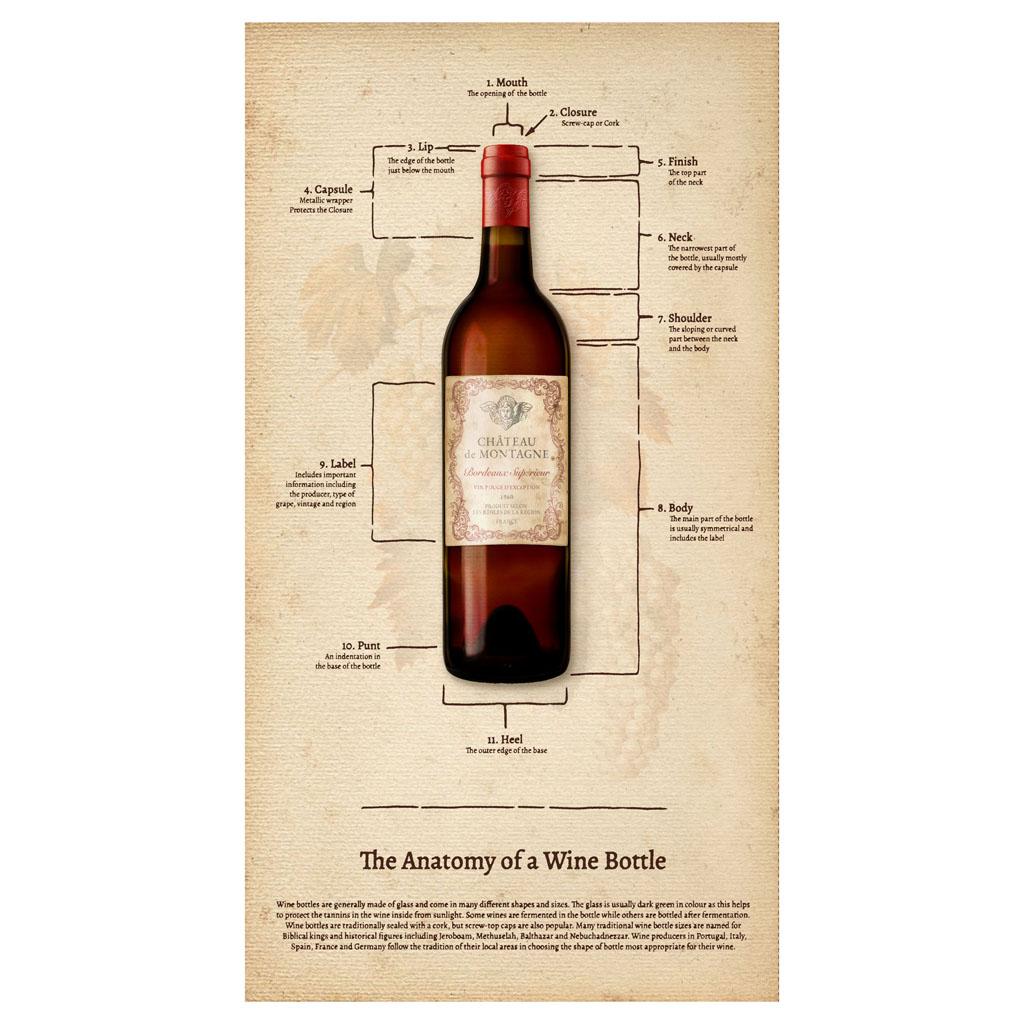 Cheers! Digital 24" Anatomy of a Bottle Panel – Sew Downtown